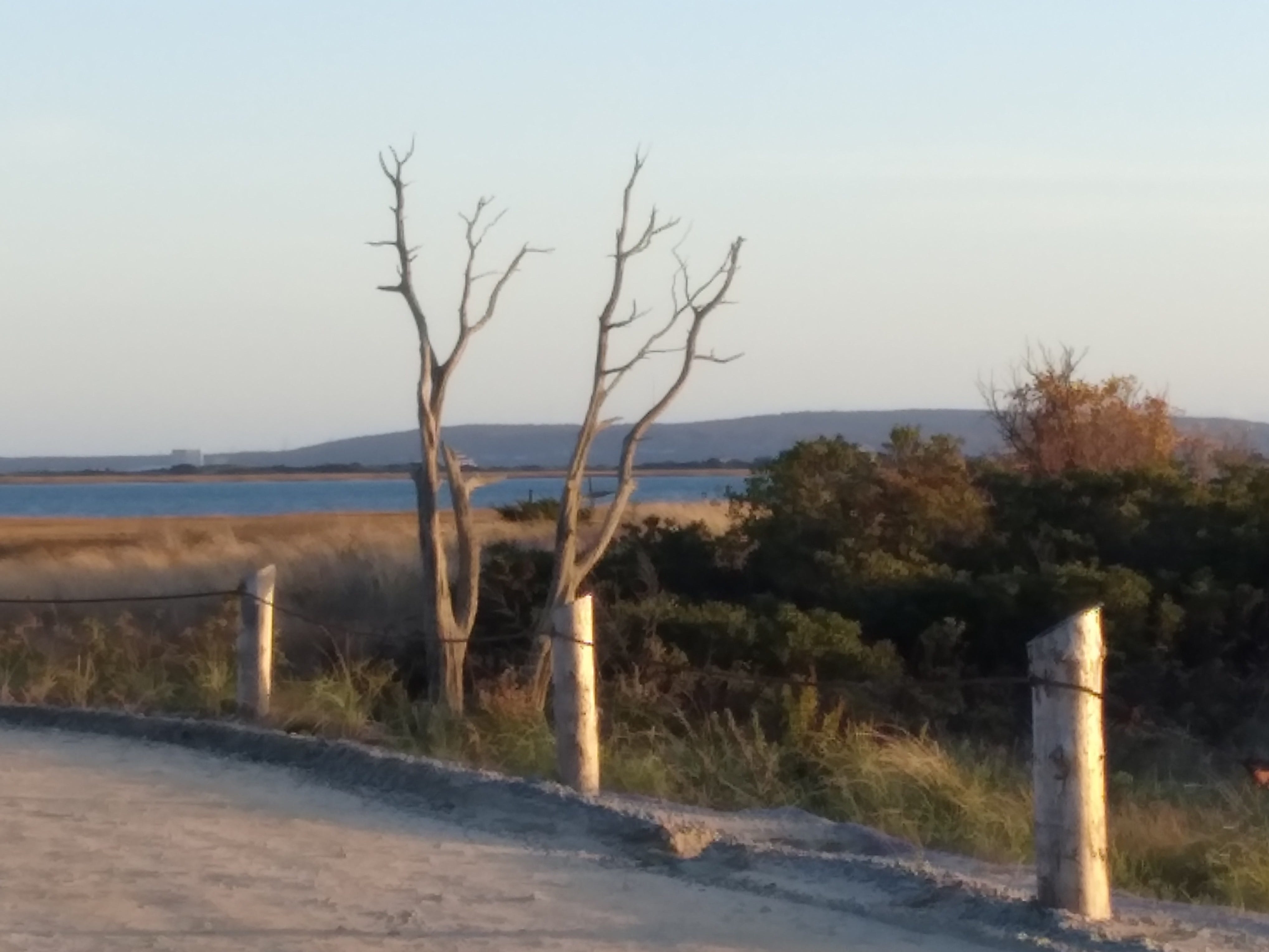 “A Gross Breach of Trust” — Whistleblower Alleges Surreptitious ...