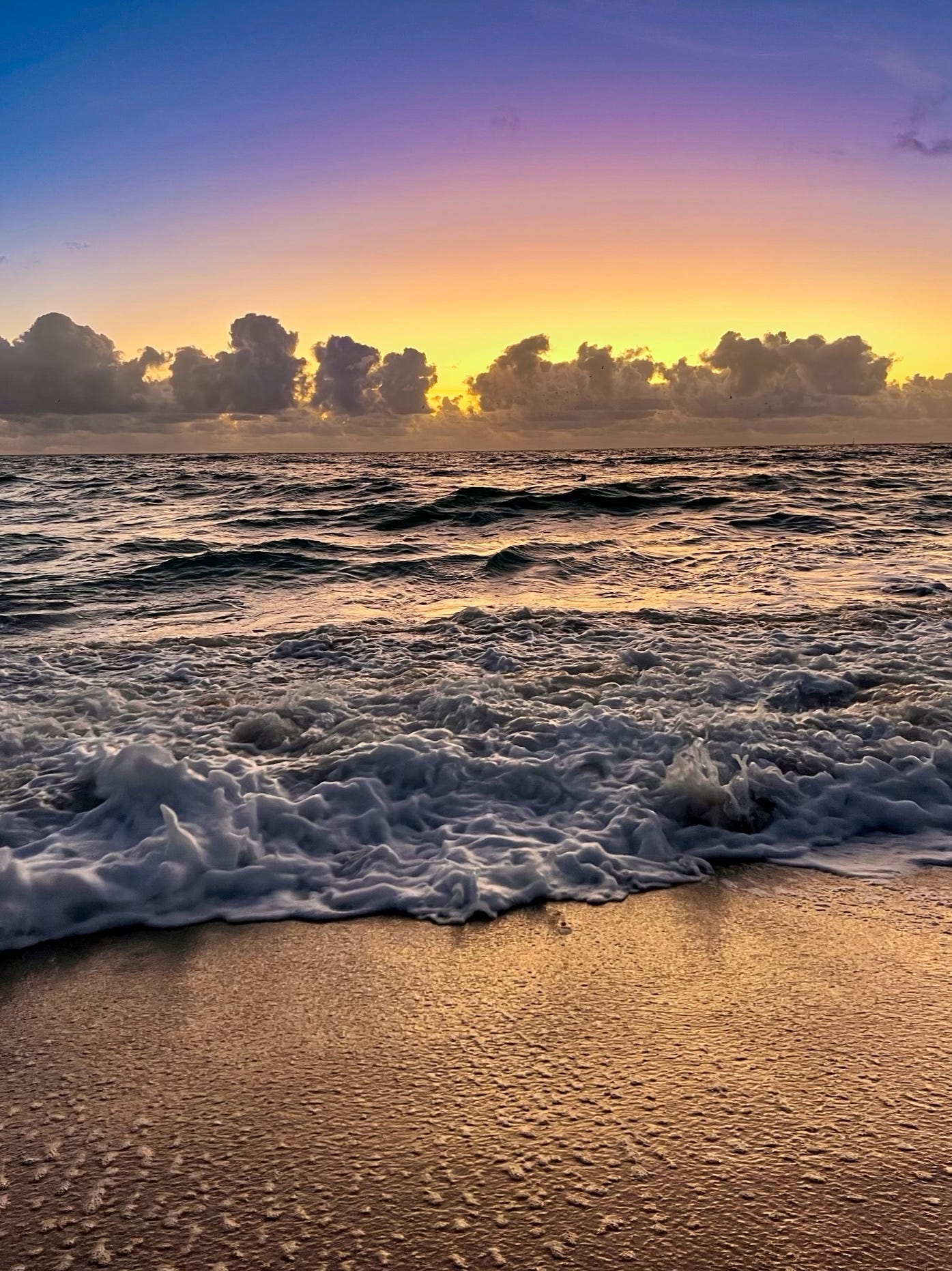 The BHR Group Digital Rights Careers Newsletter - Issue 10