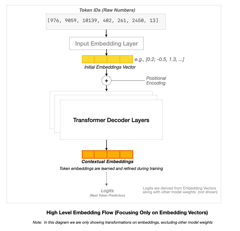 Tokens and Embeddings: The Hidden Language of LLMs