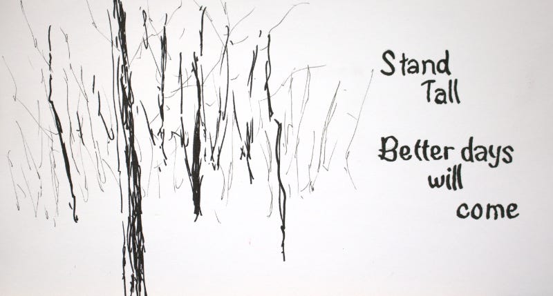 The Backbone of Art - by Bob Pennycook