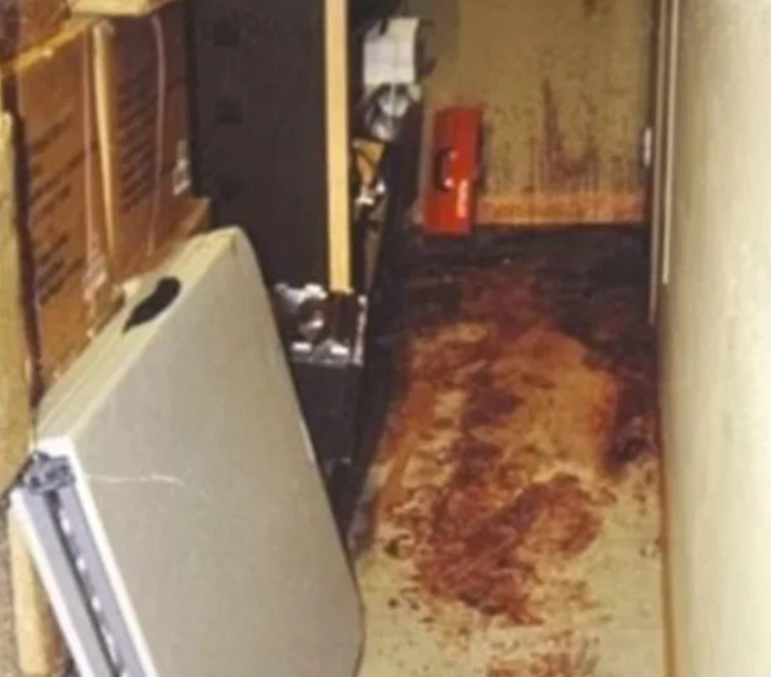 The Gruesome Tale of "Australia's Hannibal Lecter": Katherine Knight
