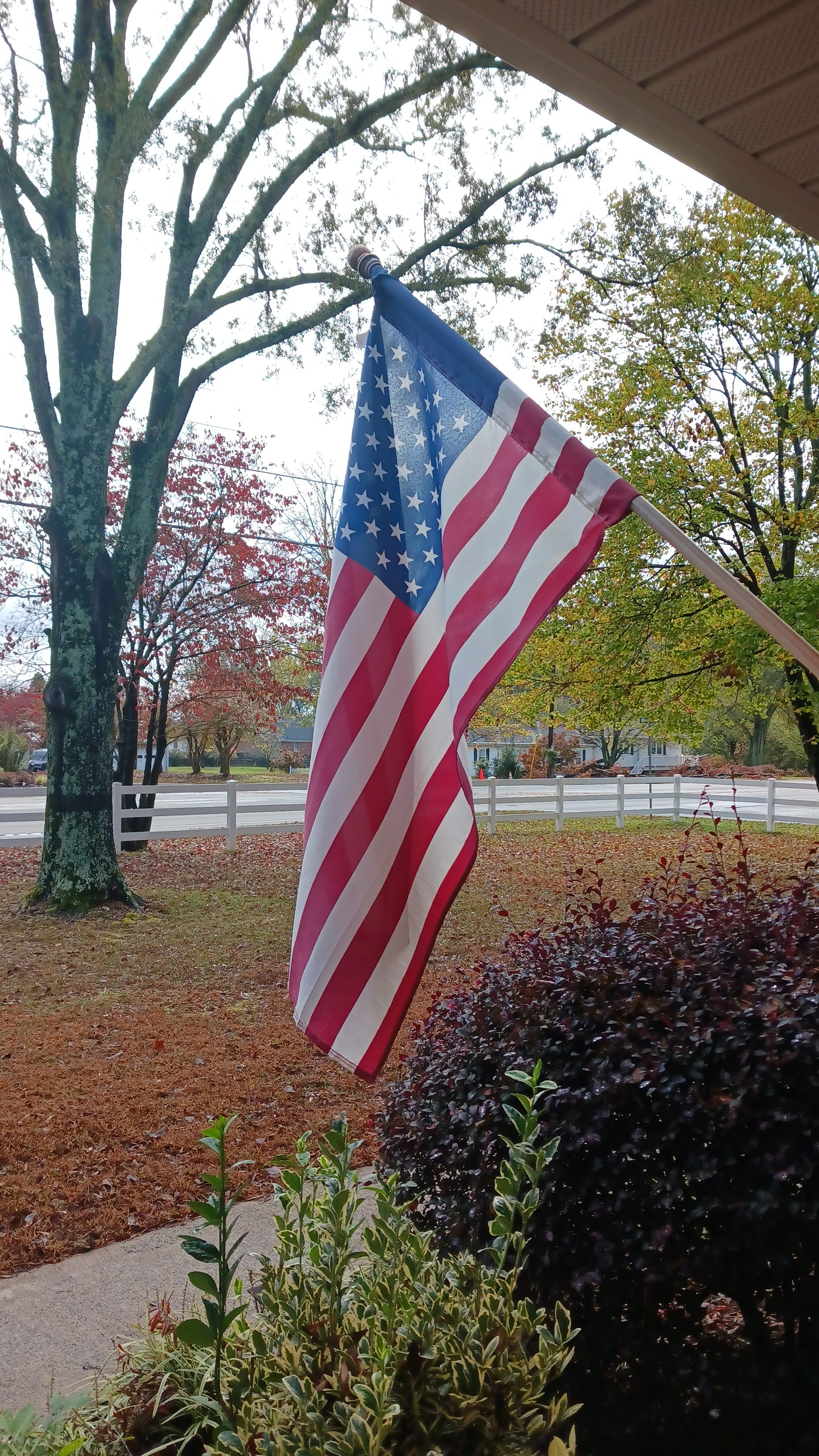 Today, our flag flies upright! - by Monica Sharpe