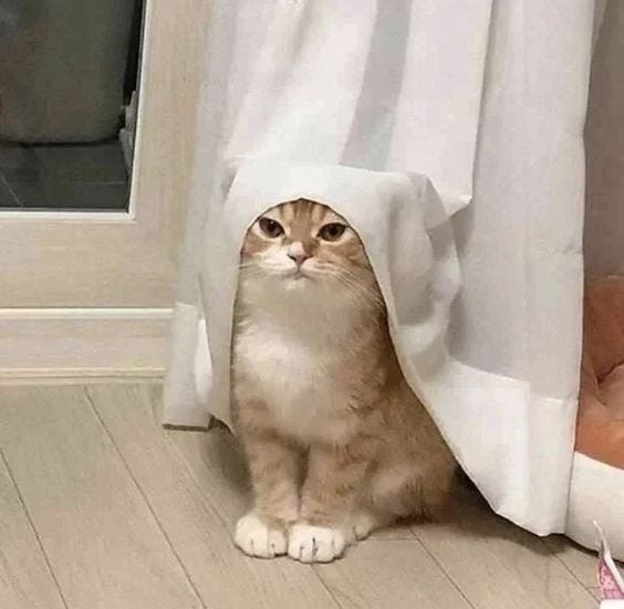 Deploy na Sexta #21: Como montar palestras de tecnologia?