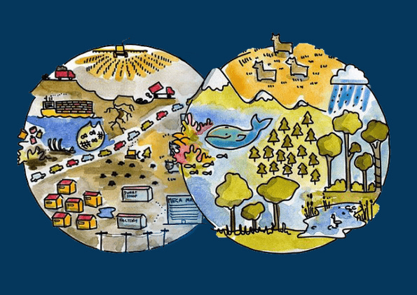 Supply Chain Ecosystem - The Real Life Network