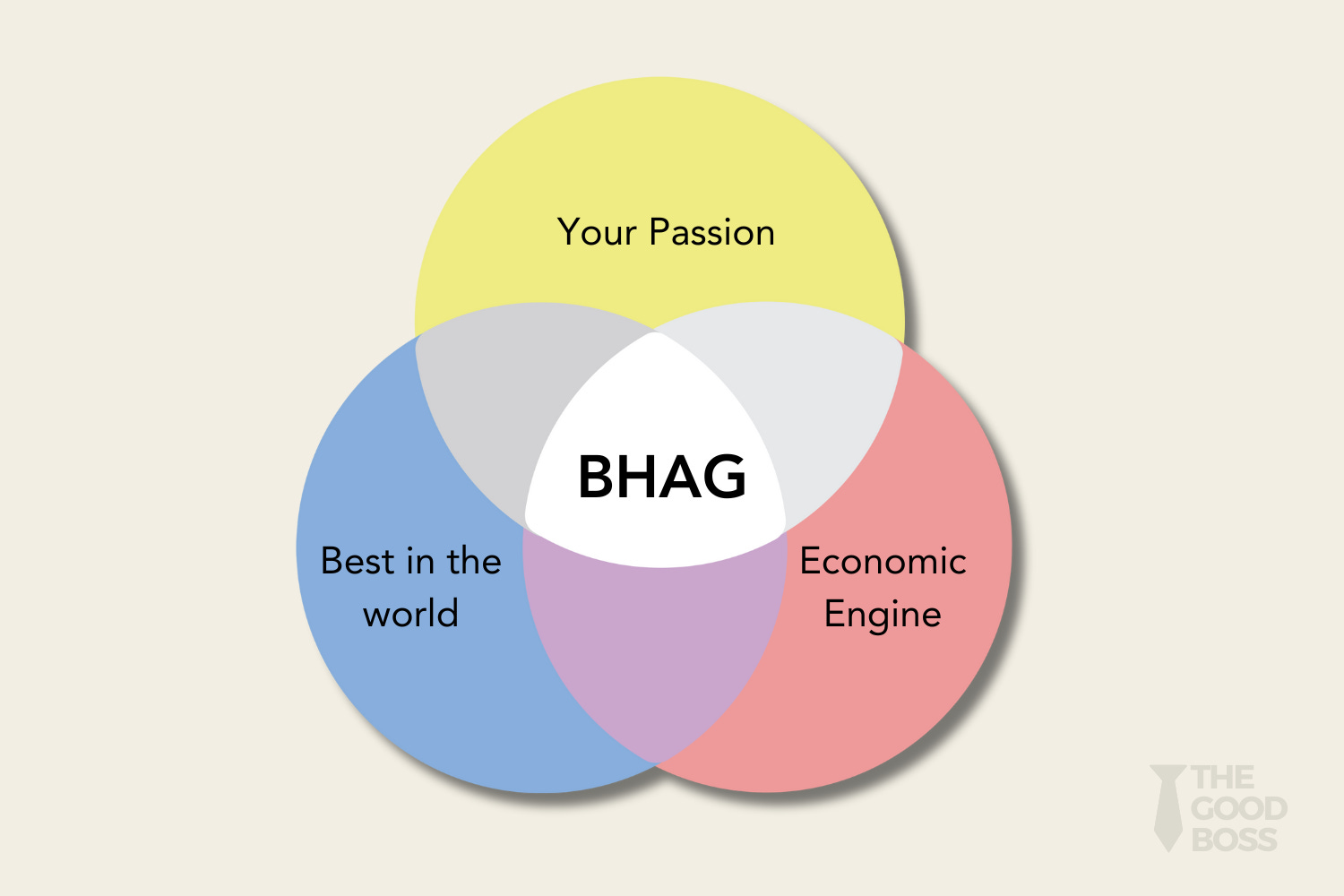 Big, Hairy, Audacious Goals (BHAGs): How Successful Leaders Drive ...