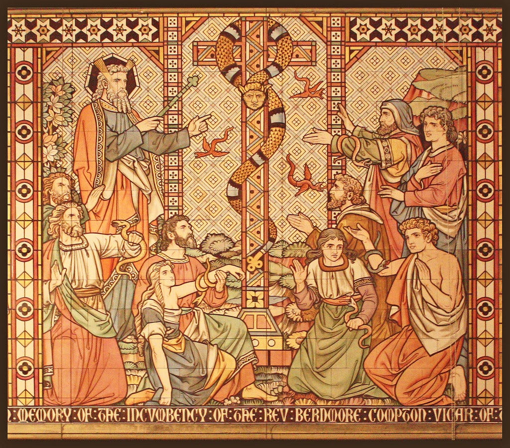 The Snake Cult of Consciousness - by Andrew