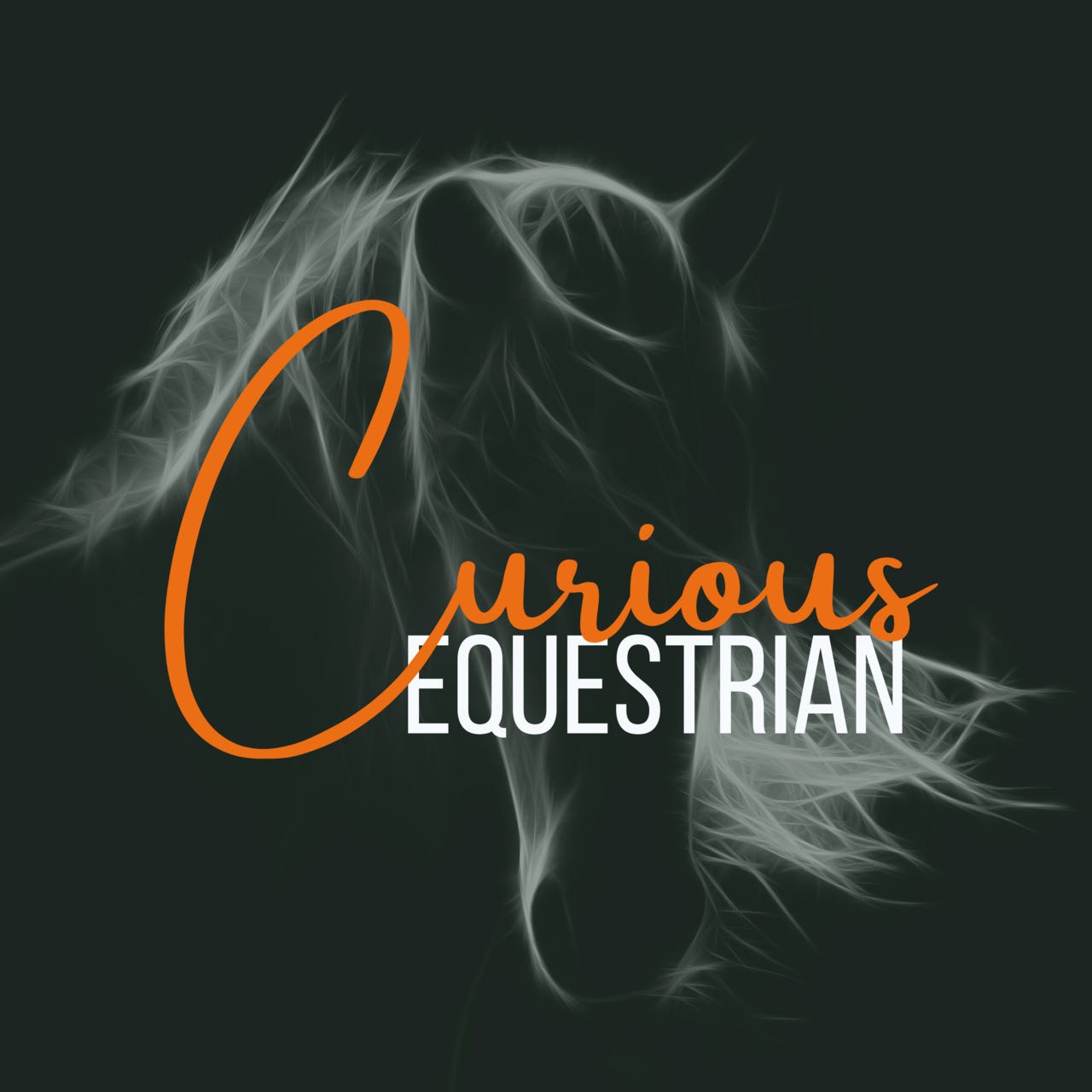 Join Curious Equestrian’s subscriber chat