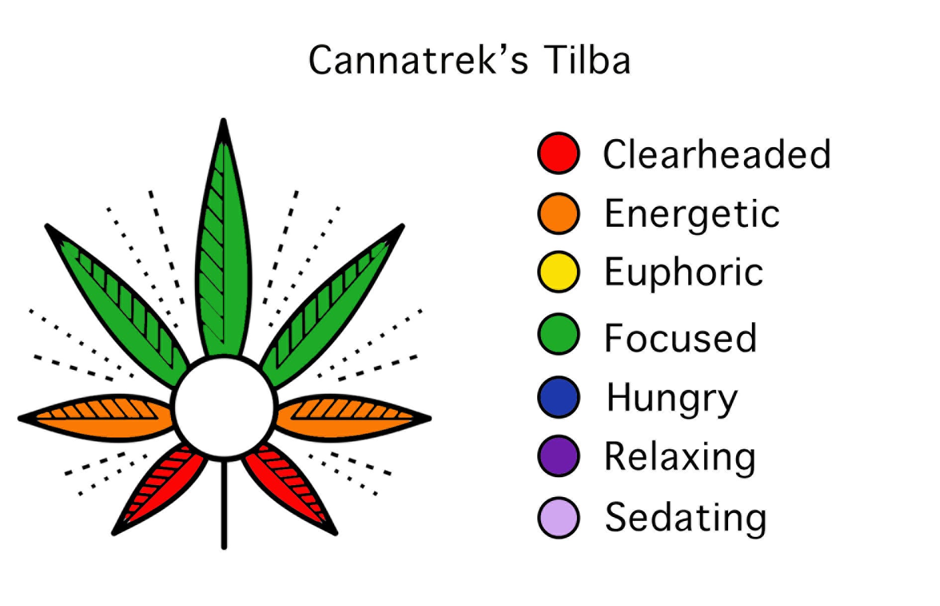 Cannatrek’s T21 Tilba Flower Review | AusCannaReviews