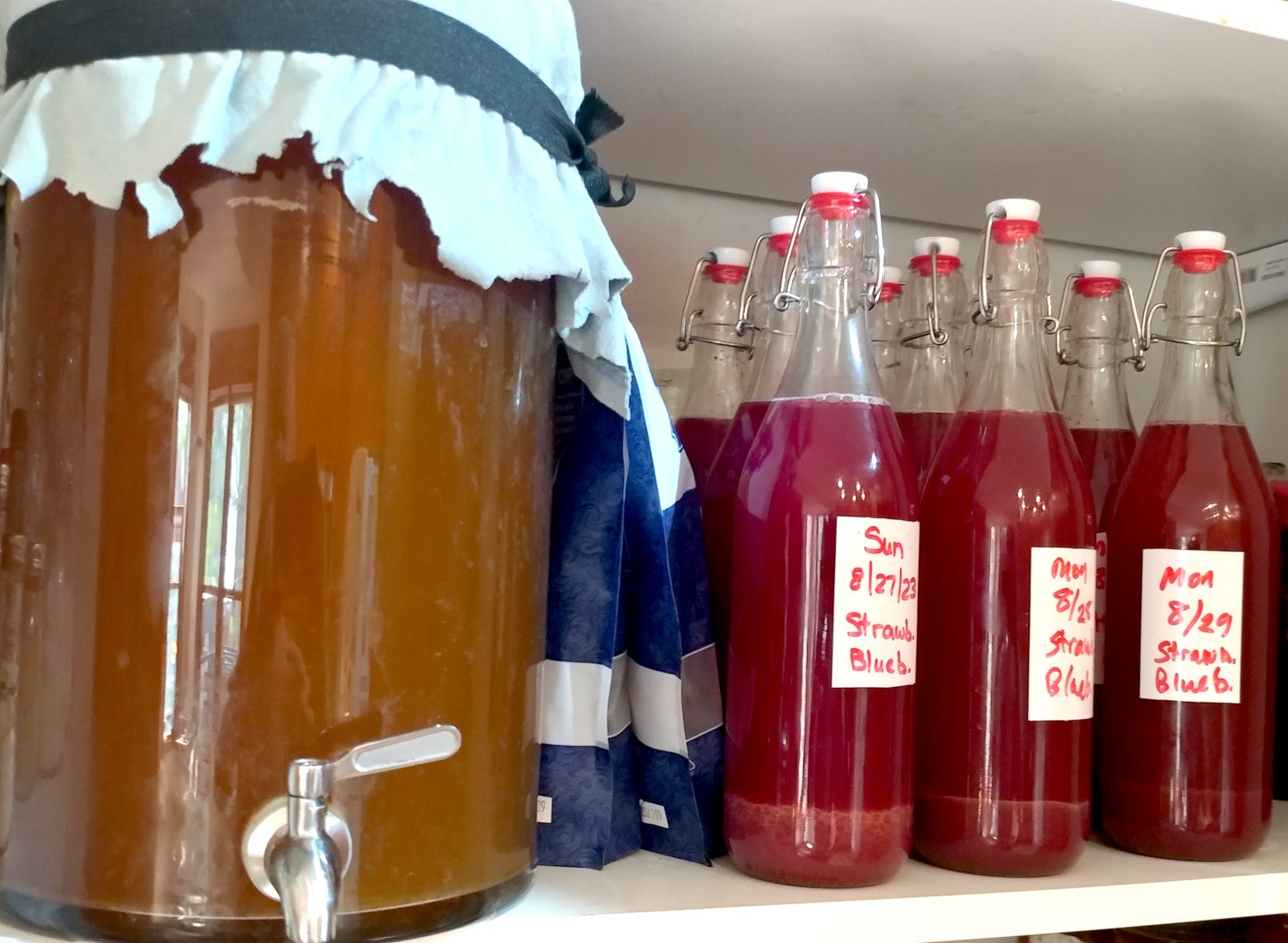 Continuous Brew Kombucha is Easy, Fun and Delicious