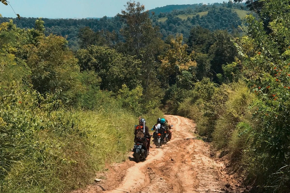 #1 Ngata Tompu 900mdpl - by KunBanja - Flora’s Substack