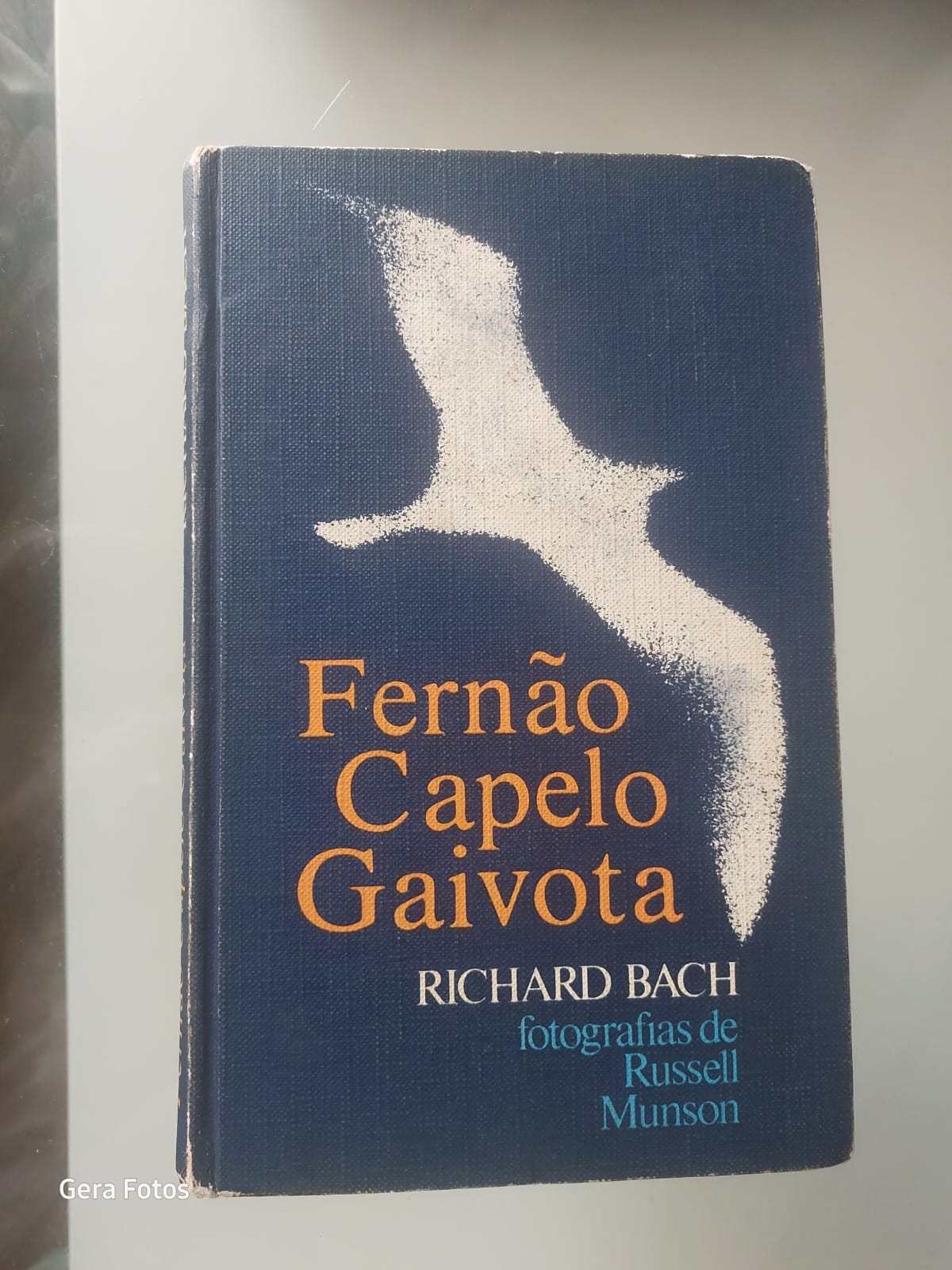 Relato do Livro Fernão Capelo Gaivota