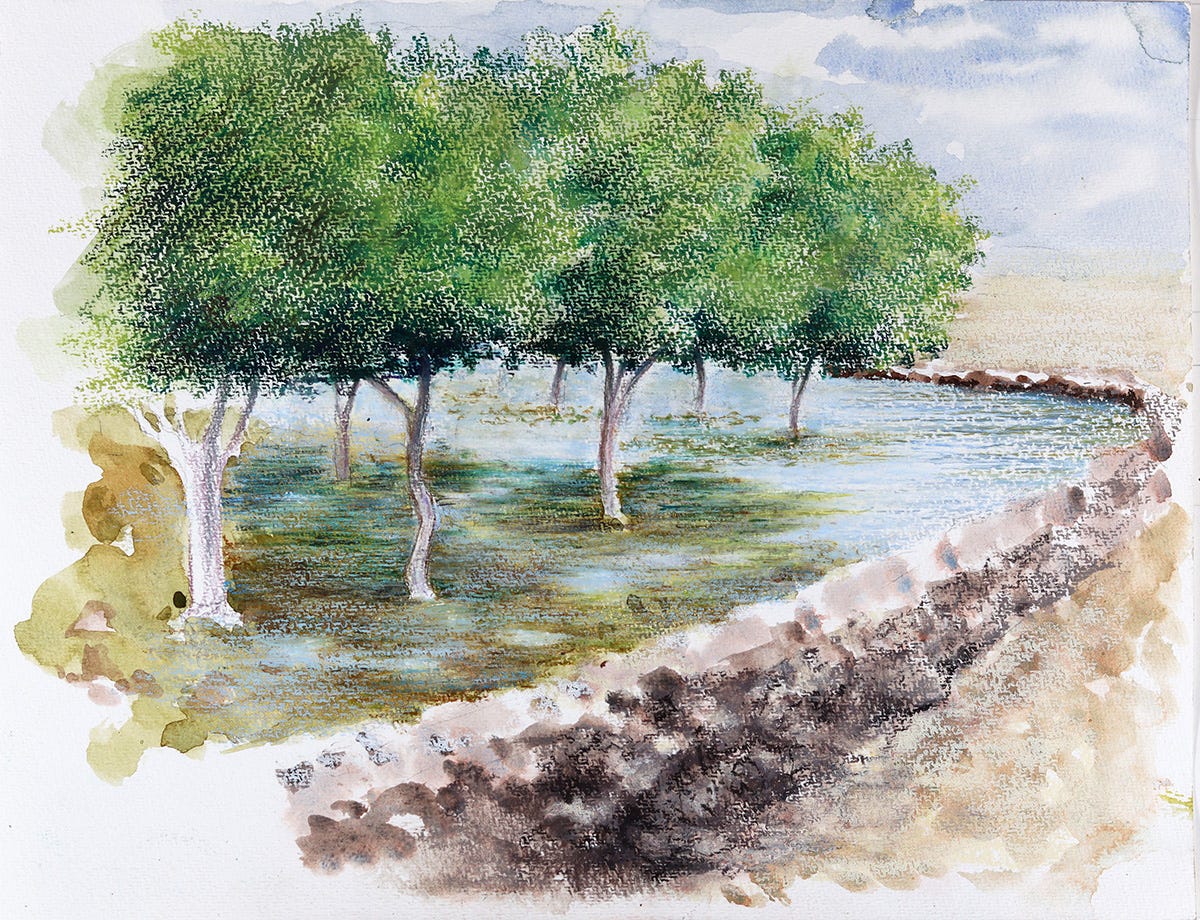 The Ghost of Tulare Lake - by Carmine Iannaccone
