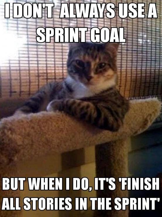 Top 10 Sprint Goal Memes - by Maarten Dalmijn