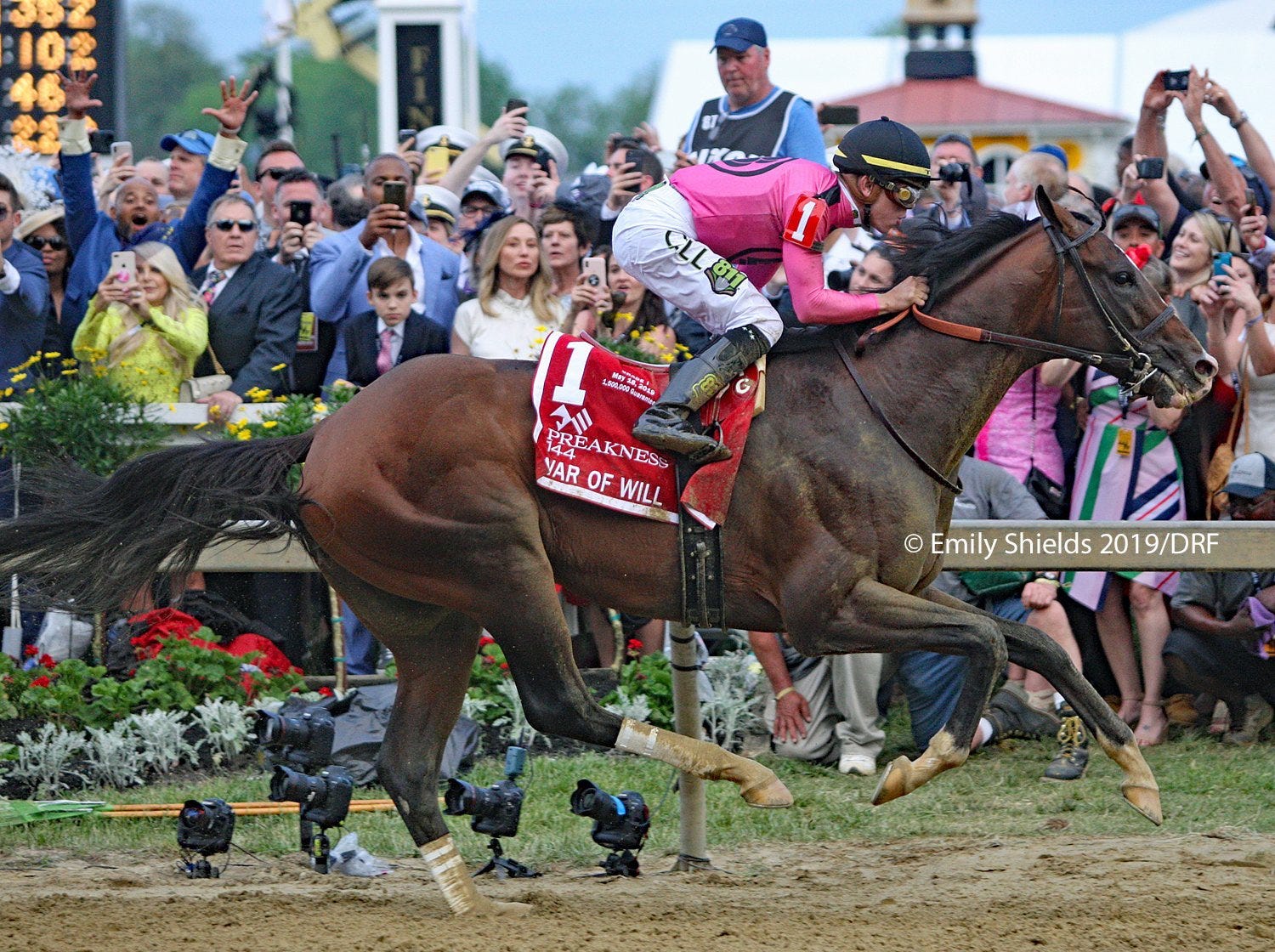 Friday Four-Pack 1.12.24 - by Mut (Mike Mutnansky)