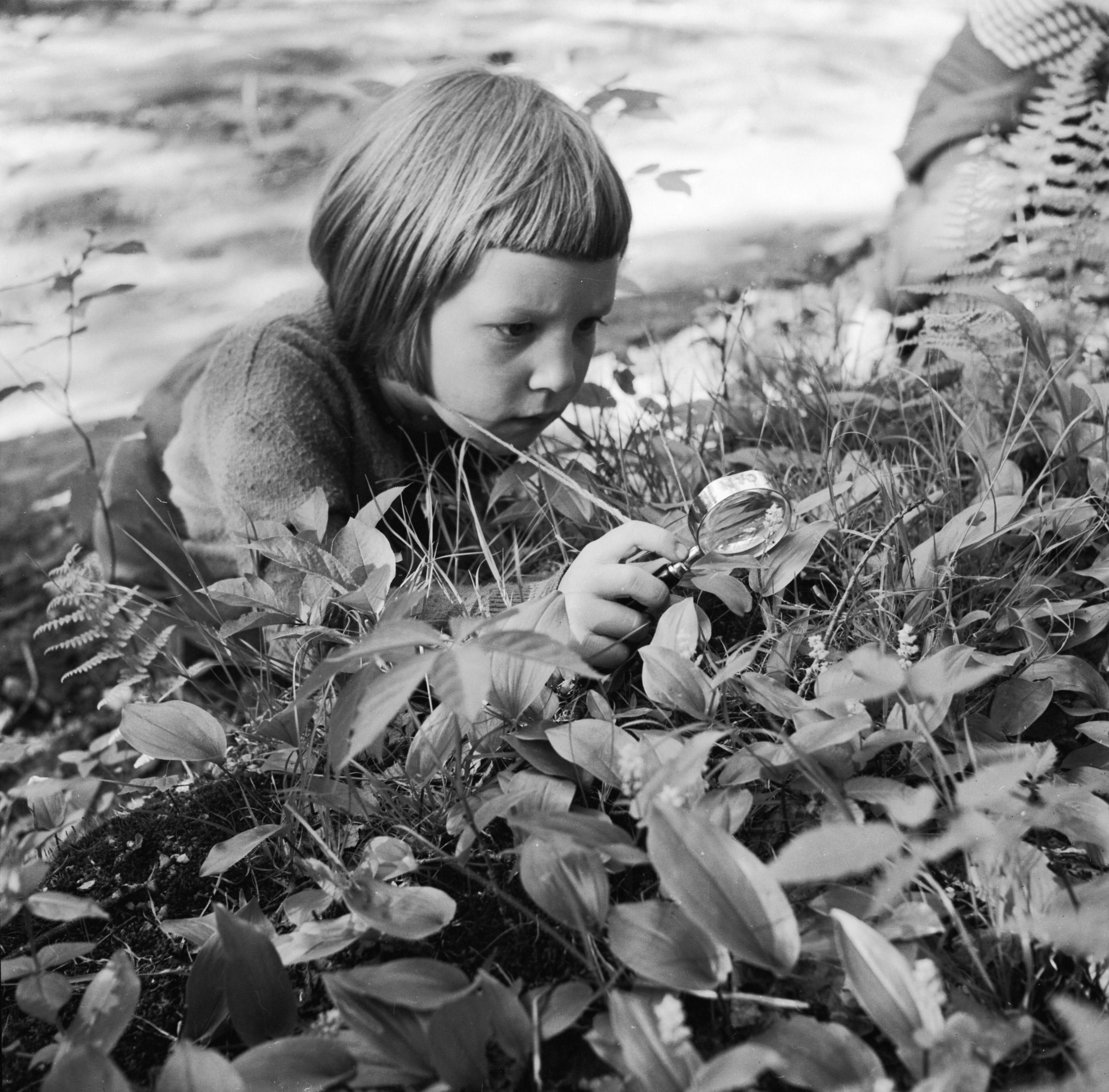 LOOKING for the Woman Who Wrote This Letter.....