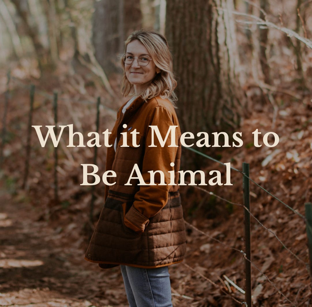 What it Means to Be Animal - by Elizabeth MeLampy