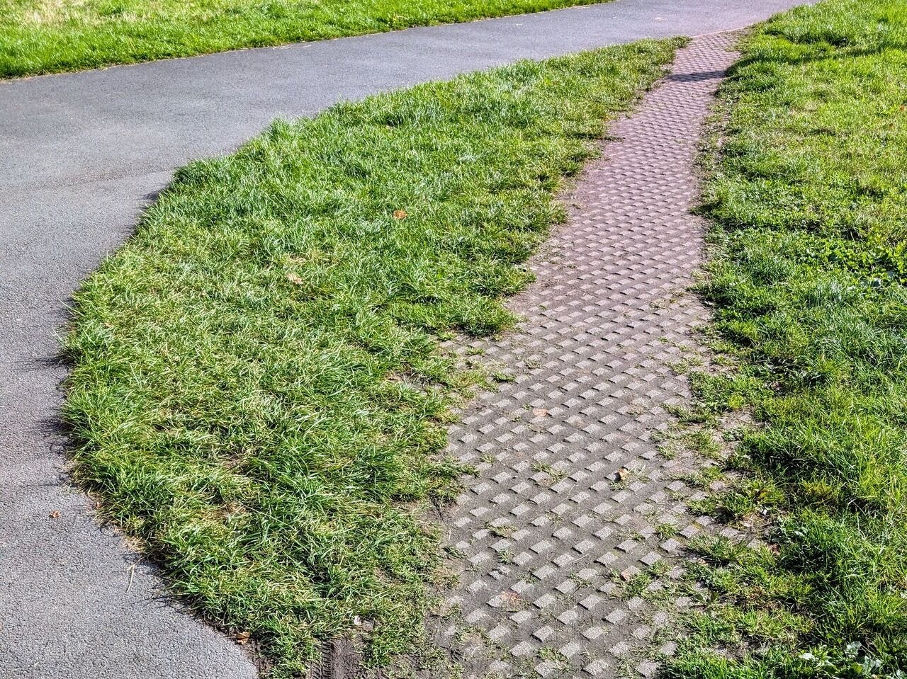 Desire paths - by Dru Jaeger - Pilgrimagic