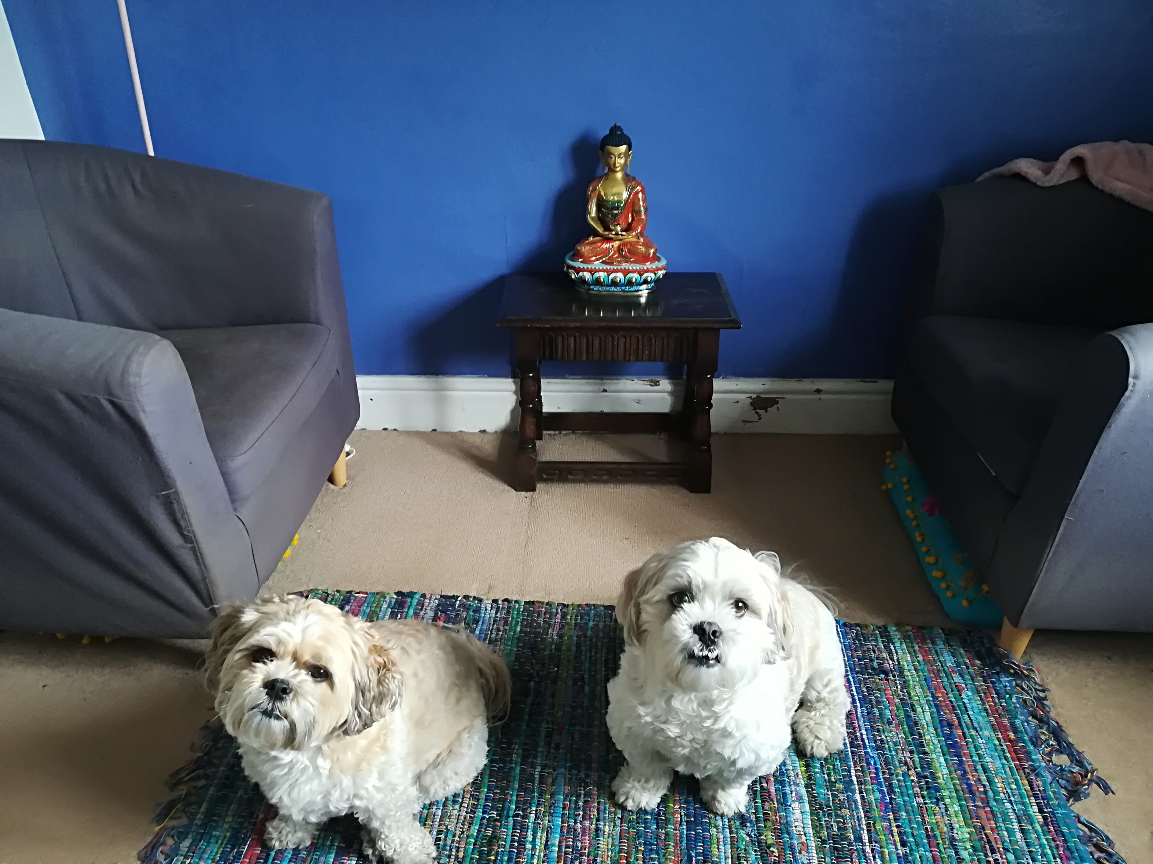 Why Am I Writing To You? - by Satya Robyn - Going Gently