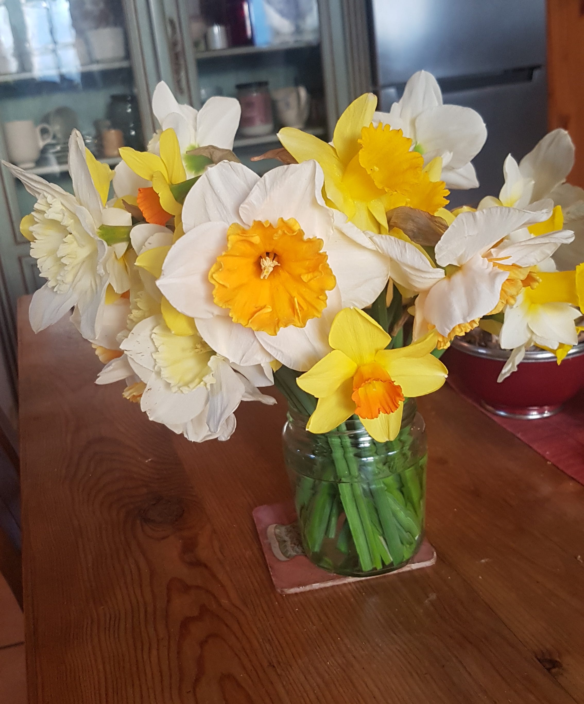 Transformation - by Mara M - Mara’s Substack