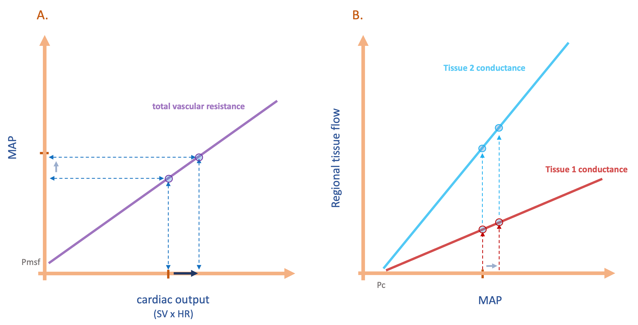 ICU Physiology in 1000 Words: All Perfusion Is Local