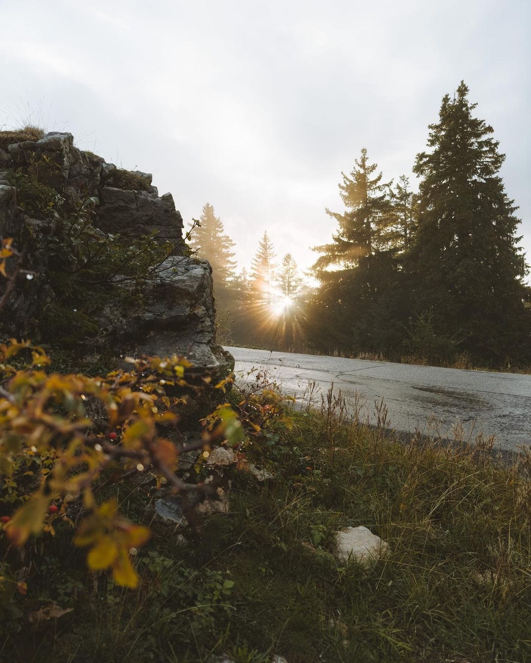 Viens passer ton mois de mars dans la première maison KOS