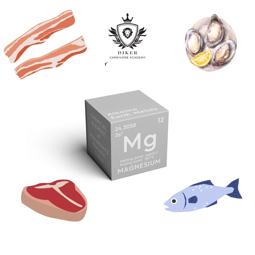 Unleash the Power of Magnesium on Your Carnivore Diet | Benefits and Tips