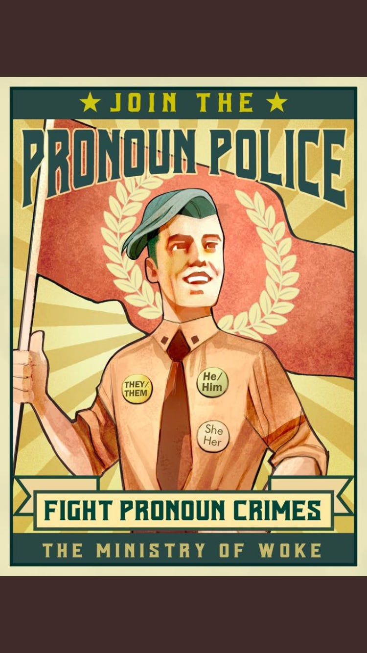 Sending out the Pronoun Police - by Diana