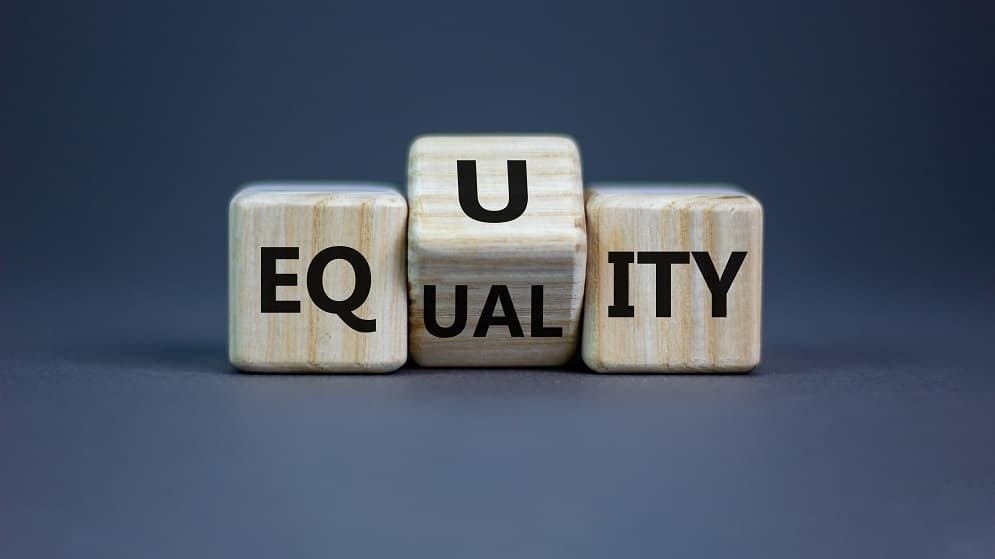 The Equality Enigma: Distinguishing Opportunity from Outcome