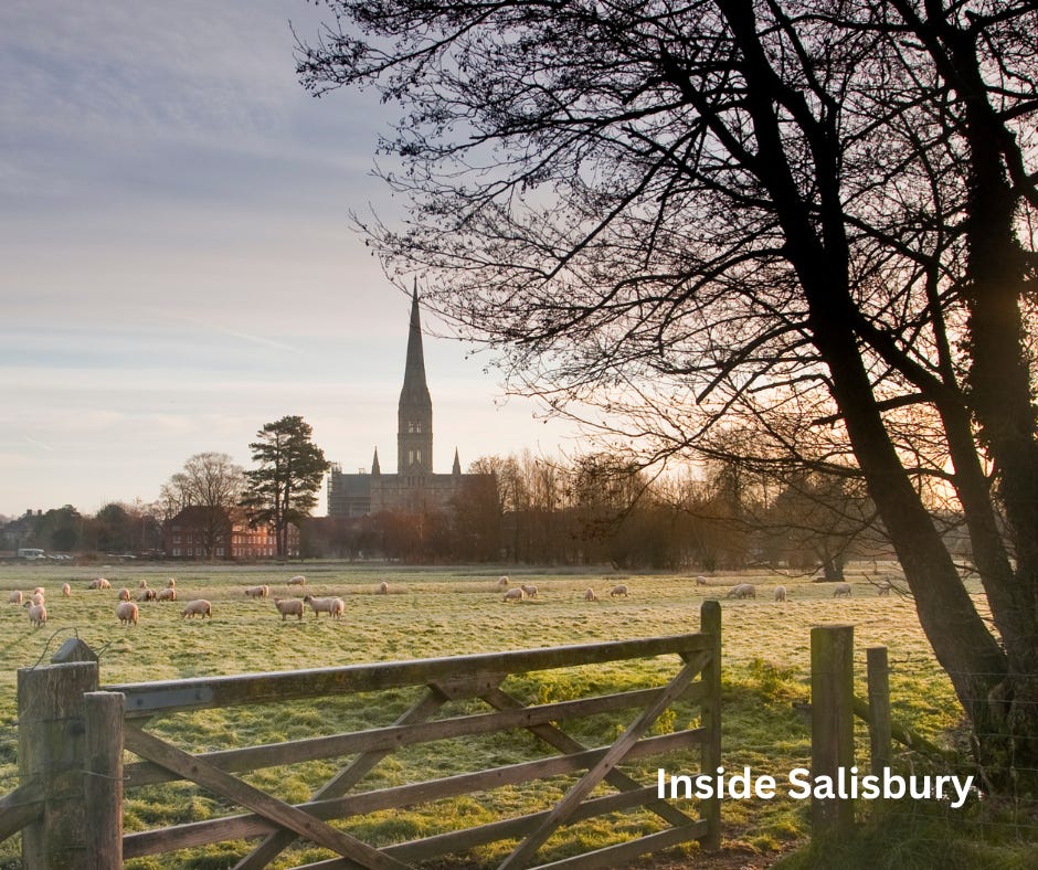 Inside Salisbury: Wessex misses out on Devolution Priority Programme