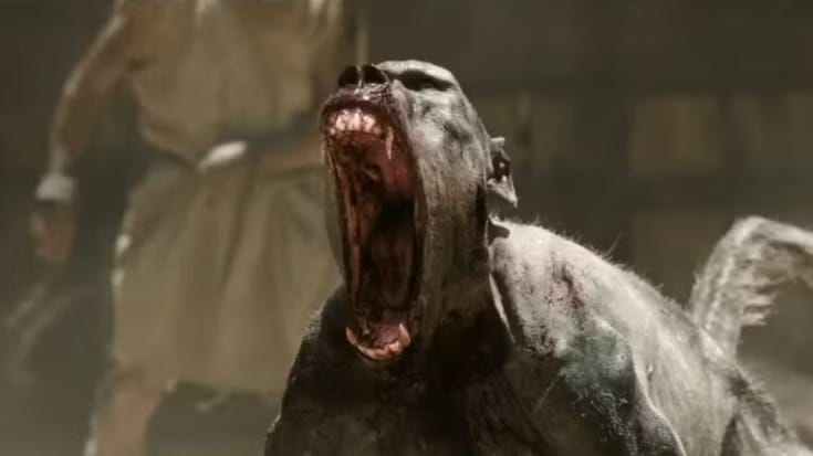 Christ's coming, ‘inappropriate,’ and sunny Roma