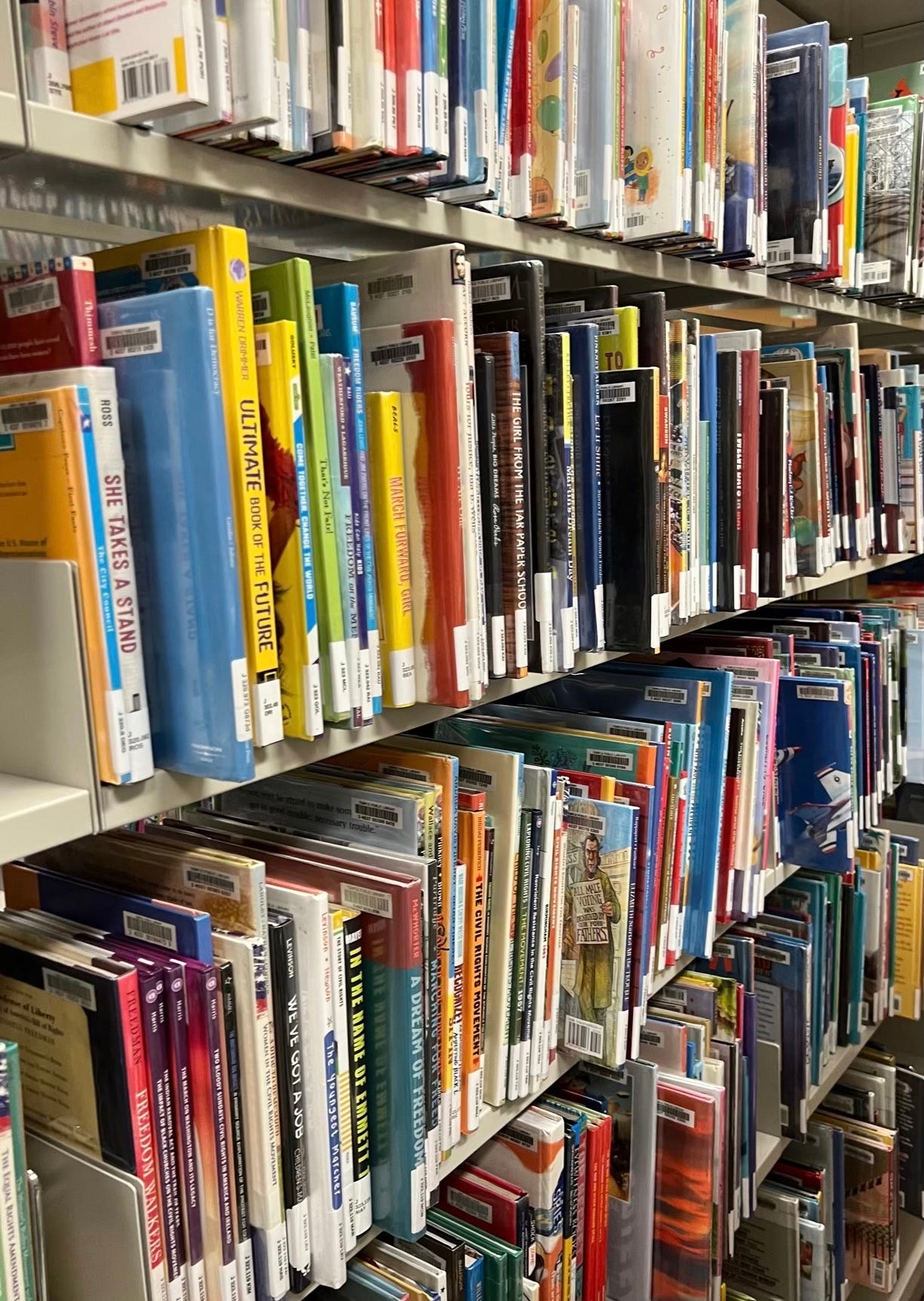 What’s In Your Public School Library? - by Lou Ann Anderson
