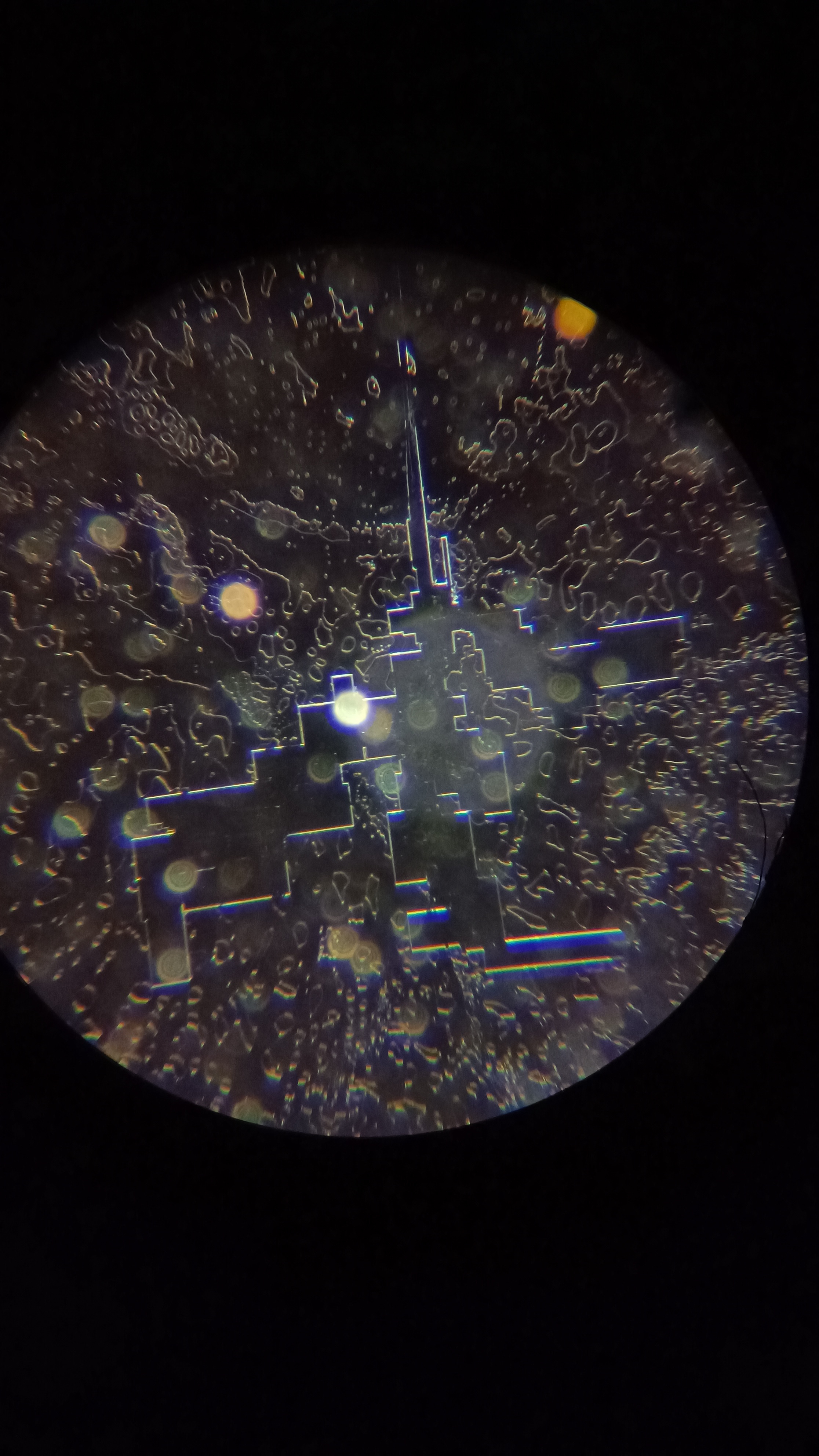 Dental Anesthetics By Matt J A O B Matts Microscopy