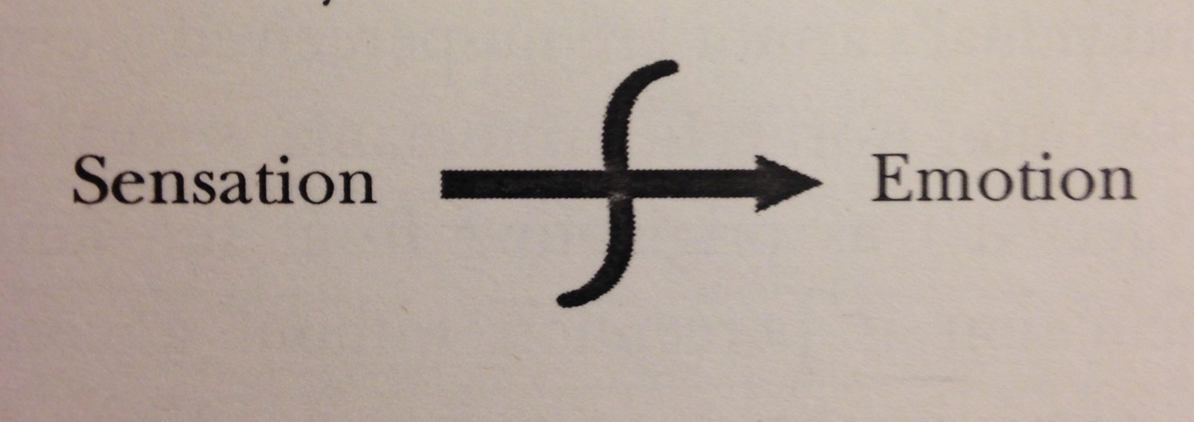 Orgonomy On Thought and It’s Relationship to Emotion: Thought is Not ...