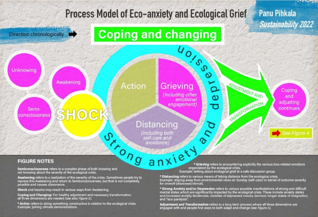 Coping with climate emotions.