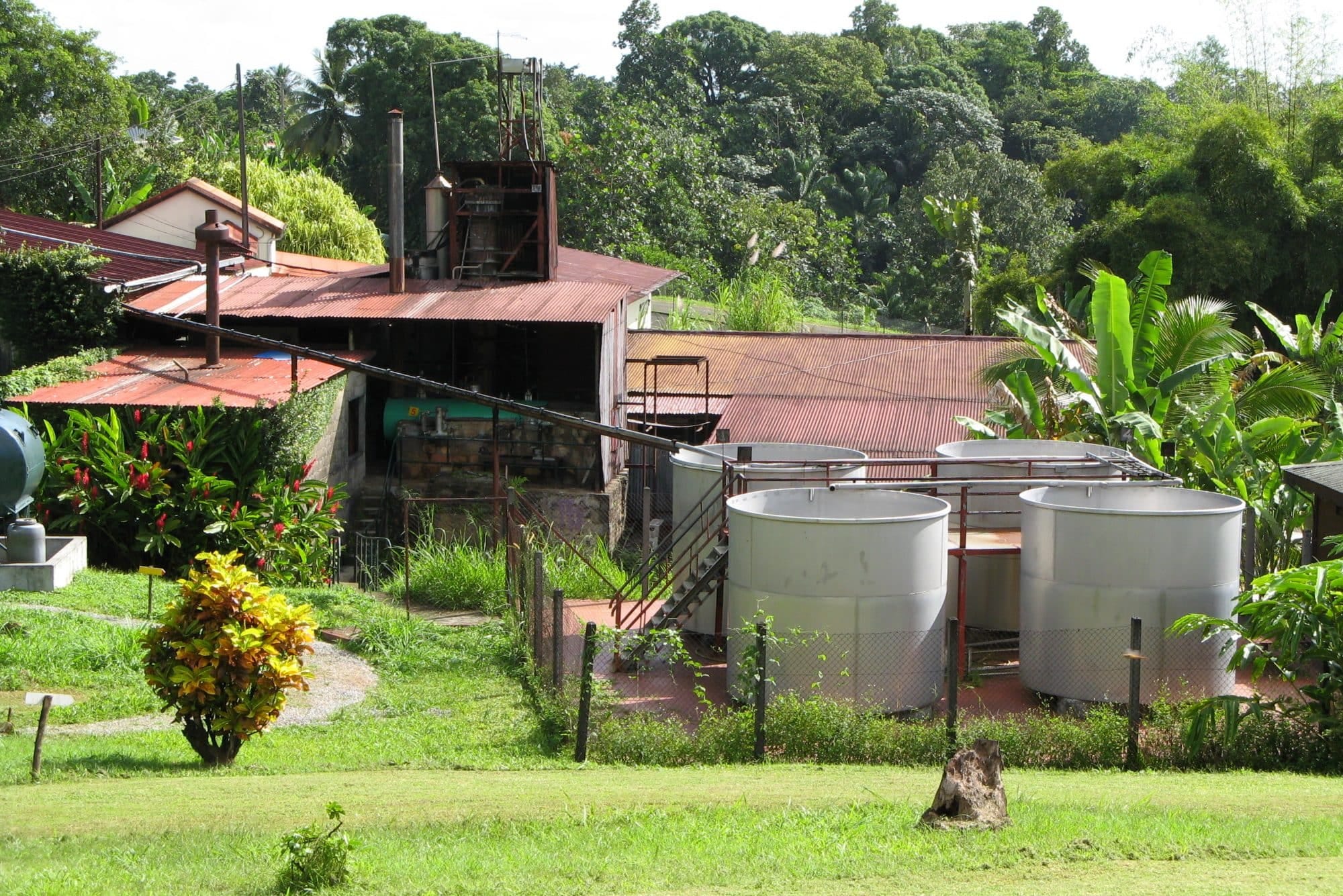 How is rum made? - by Amine Belaid - Rum Social Club