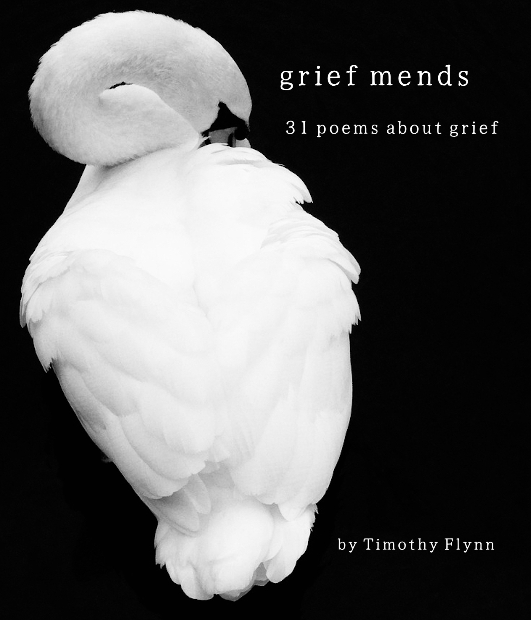 Book Announcement: Grief Mends, 31 Poems About Grief