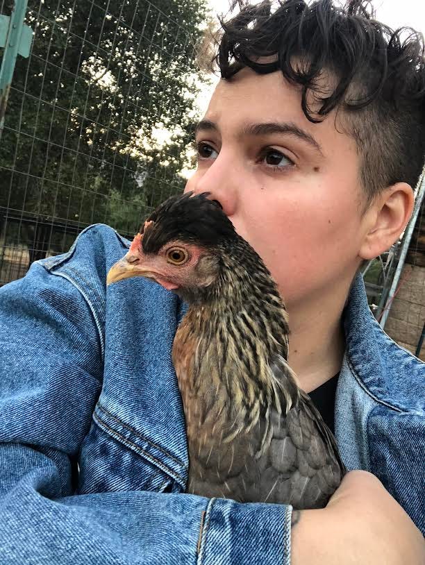 Phoenix Mendoza | Substack