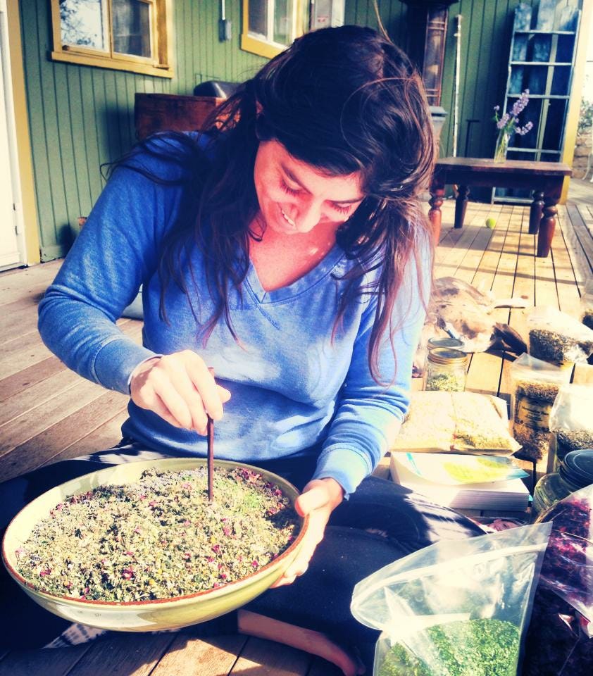 Plant Harmony: Calendula - by Rhiannon Lynn