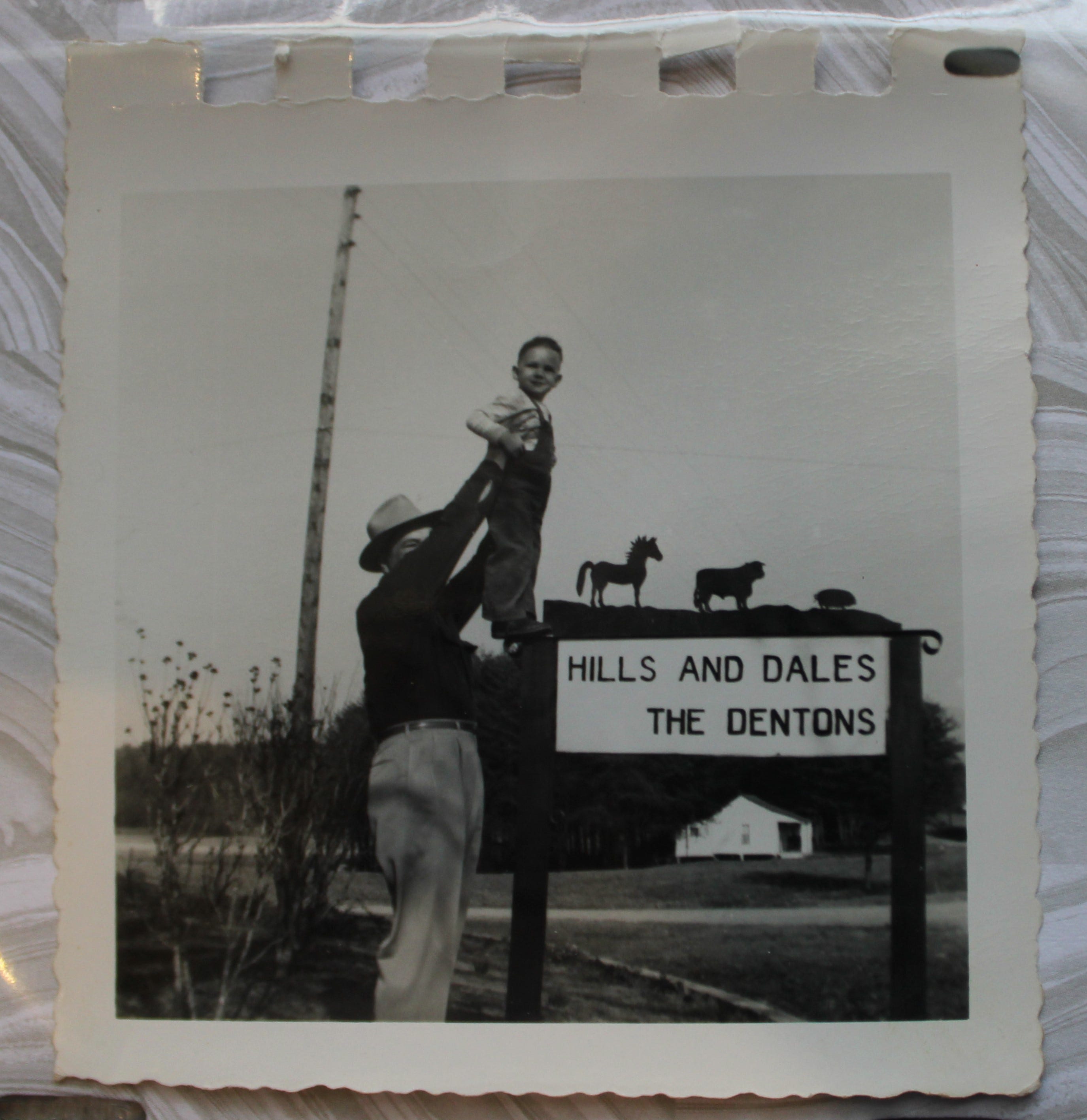 Hills and Dales - by William Larry Groves