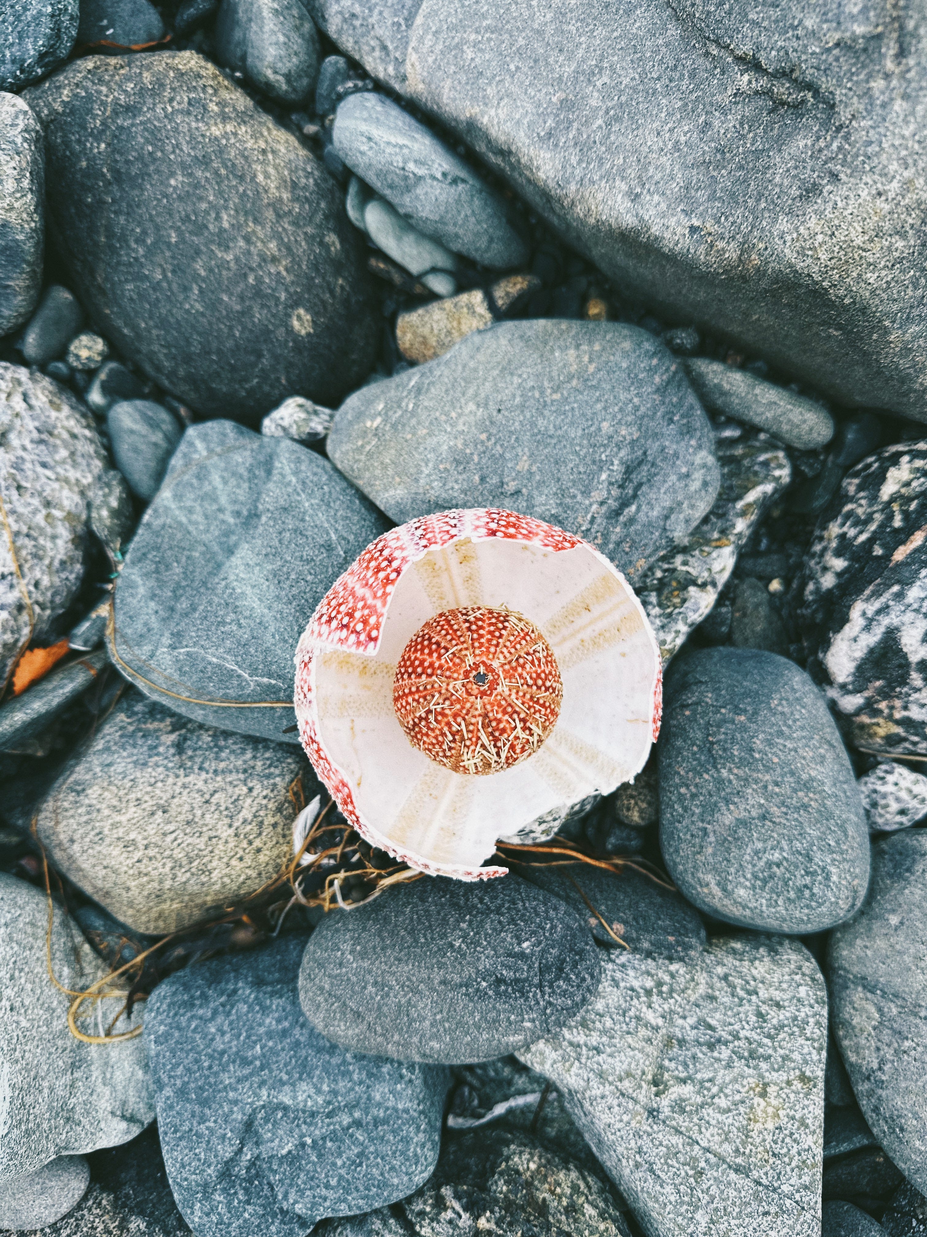 Capturing a Place - Creative Fuel with Anna Brones