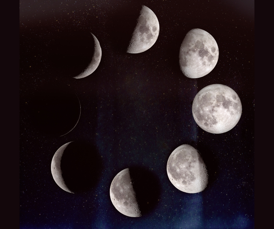 As the moon grows, our seeds sprout.