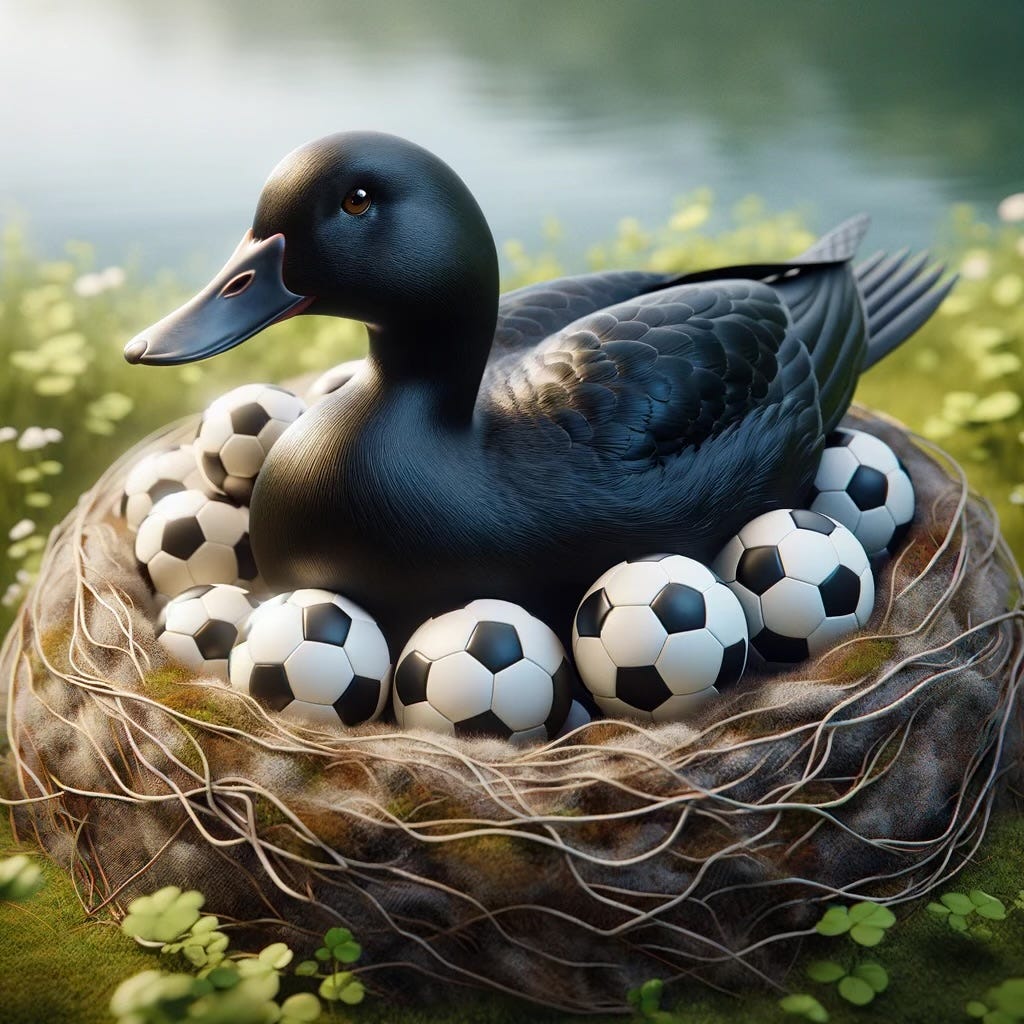 Natalie Sandoval | Substack