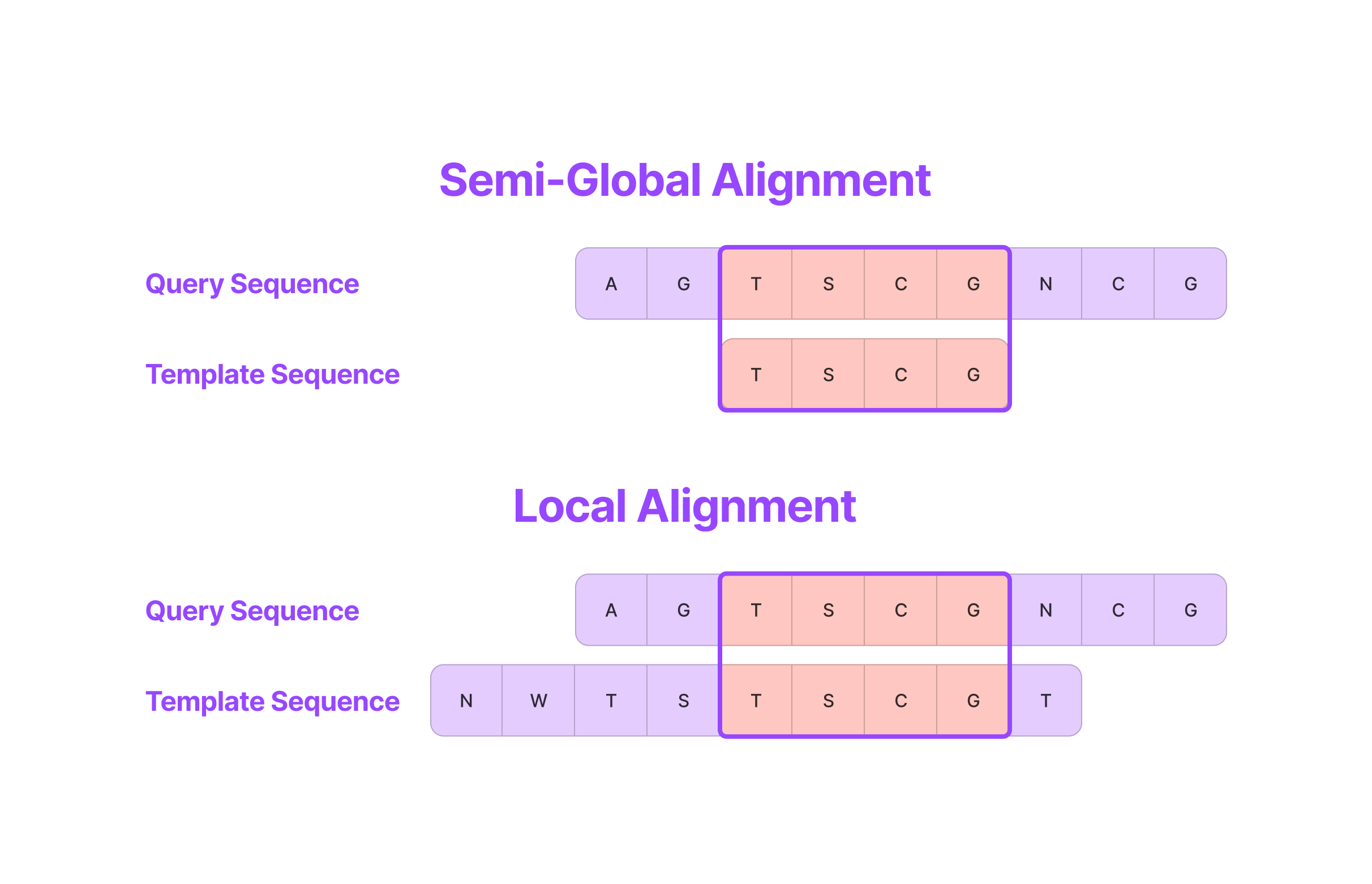 A Complete Guide to Protein Folding Prediction with RoseTTAFold: Part I
