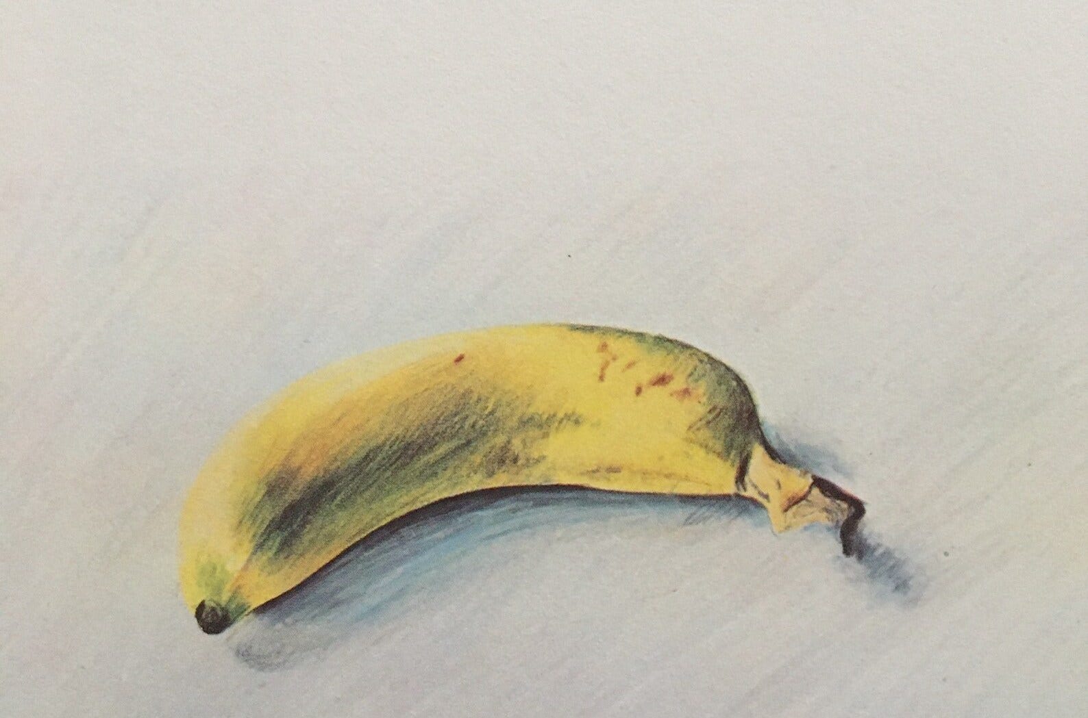 On bananas - The Life and Errors of Molly Young