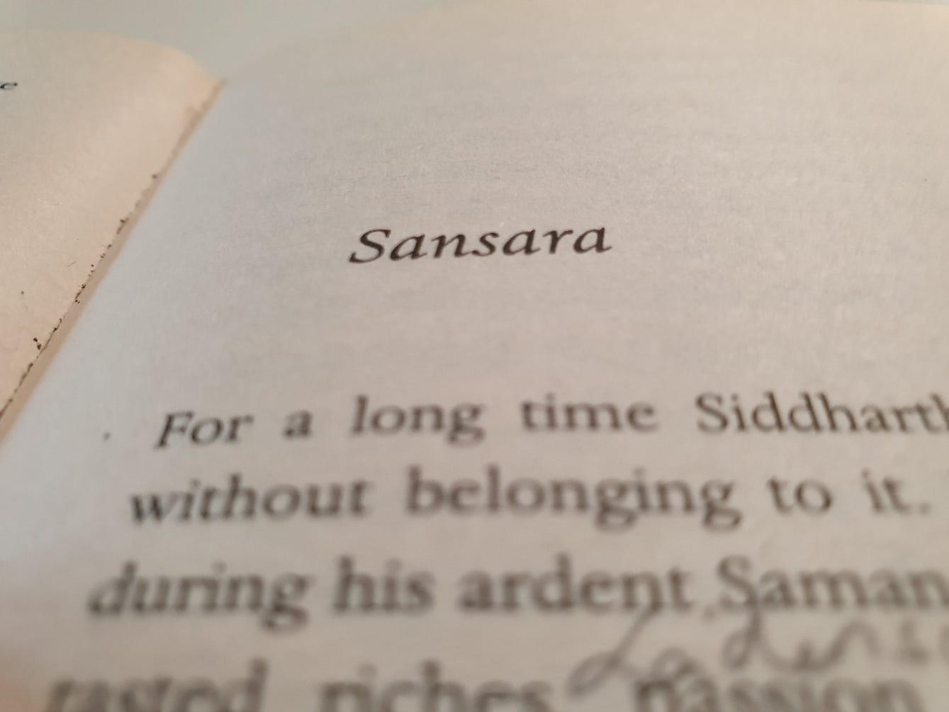 Siddhartha Chapter 7: Sansara - by Stephan Joppich