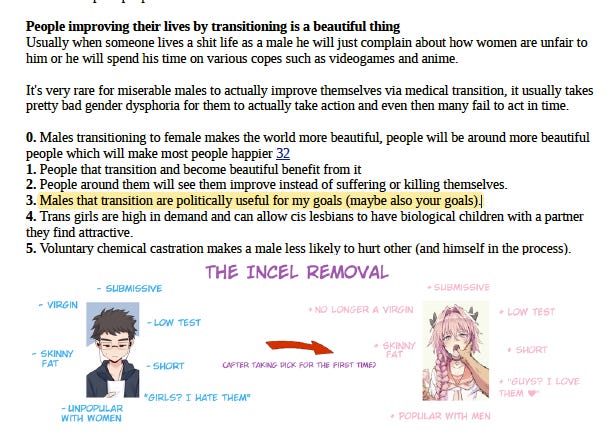 NSFW: The Transmaxxing Manifesto. Inside the bizarre cult of young men ...