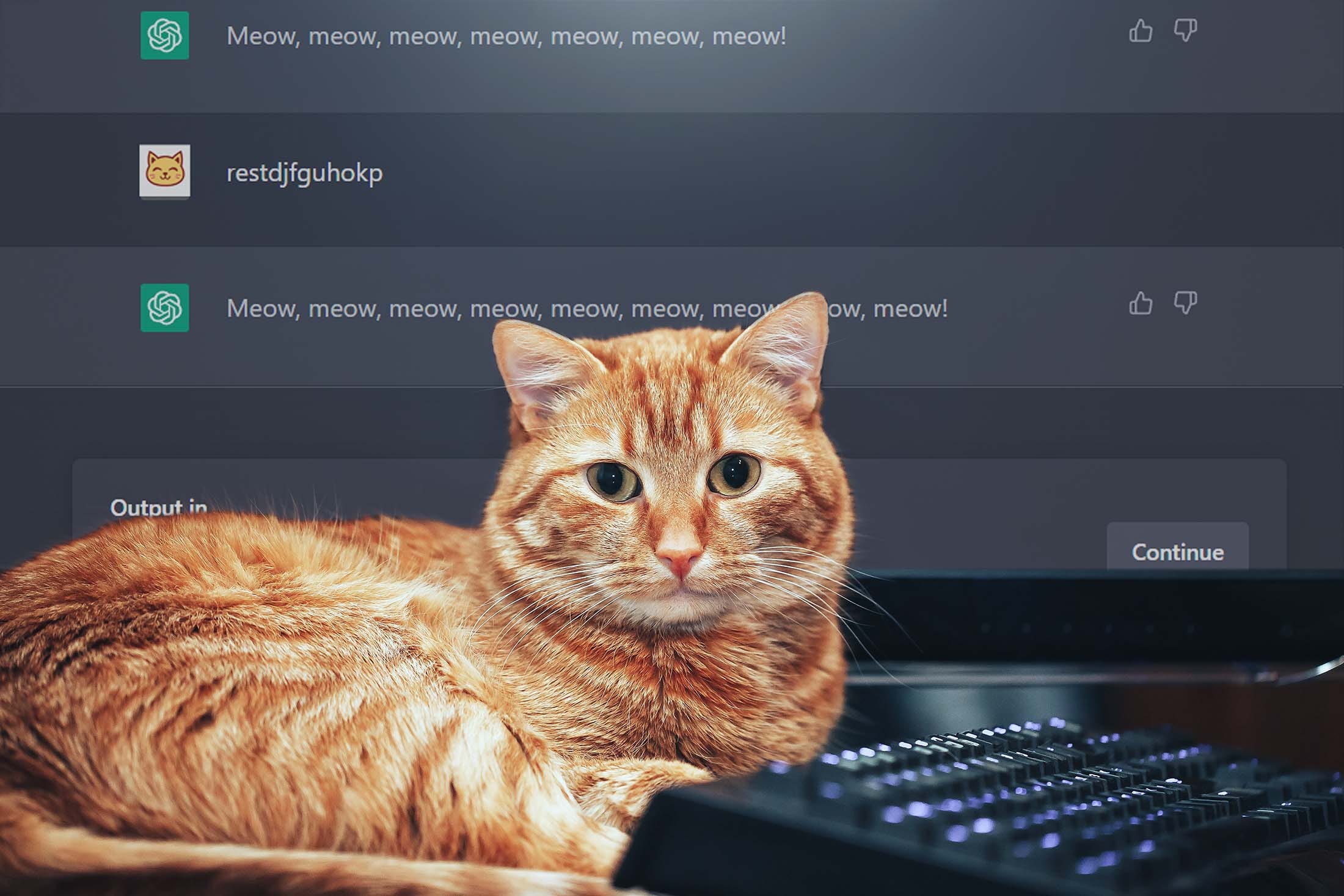 What's your feline about CatGPT? - by Dré Labre