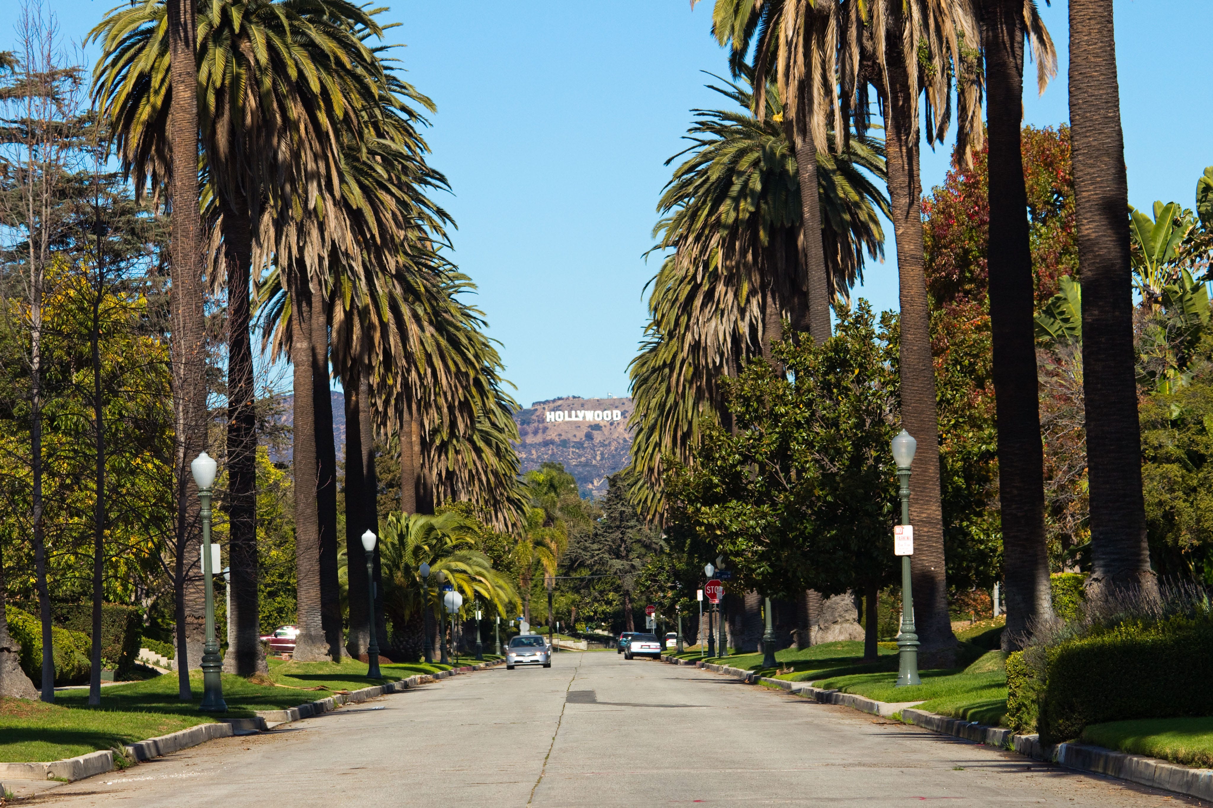 The Closeup Agency - by Amanda Fortini - PENNYROYAL