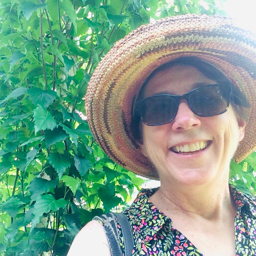 Mary Schier | Substack