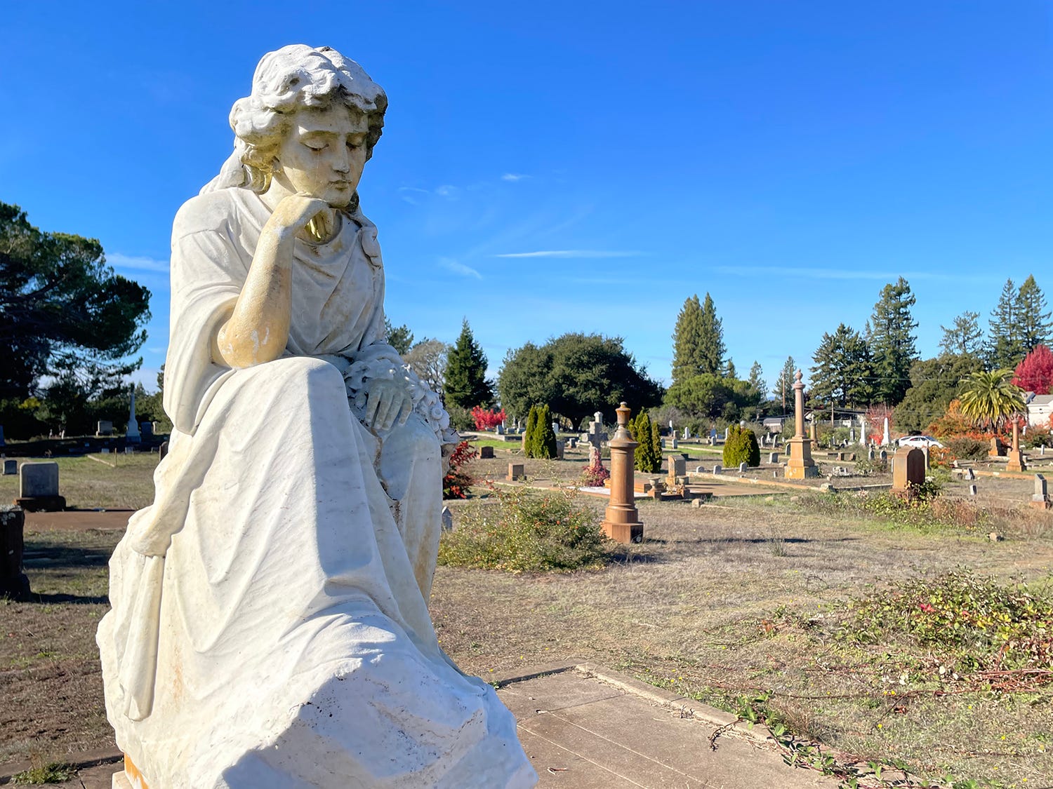 Sebastopol's historic cemetery is up for sale